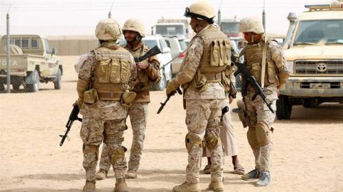 Saudi Arabia: Developing RSLF combat capabilities