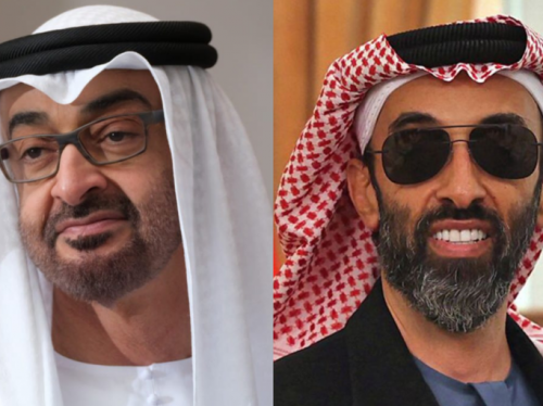 UAE: MBZ and Sheikh Tahnoon on dealing with regional tensions, impact ...