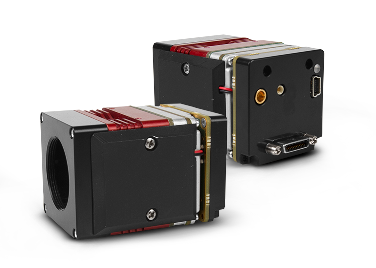 Saudi RSLF, assessment of night surveillance needs